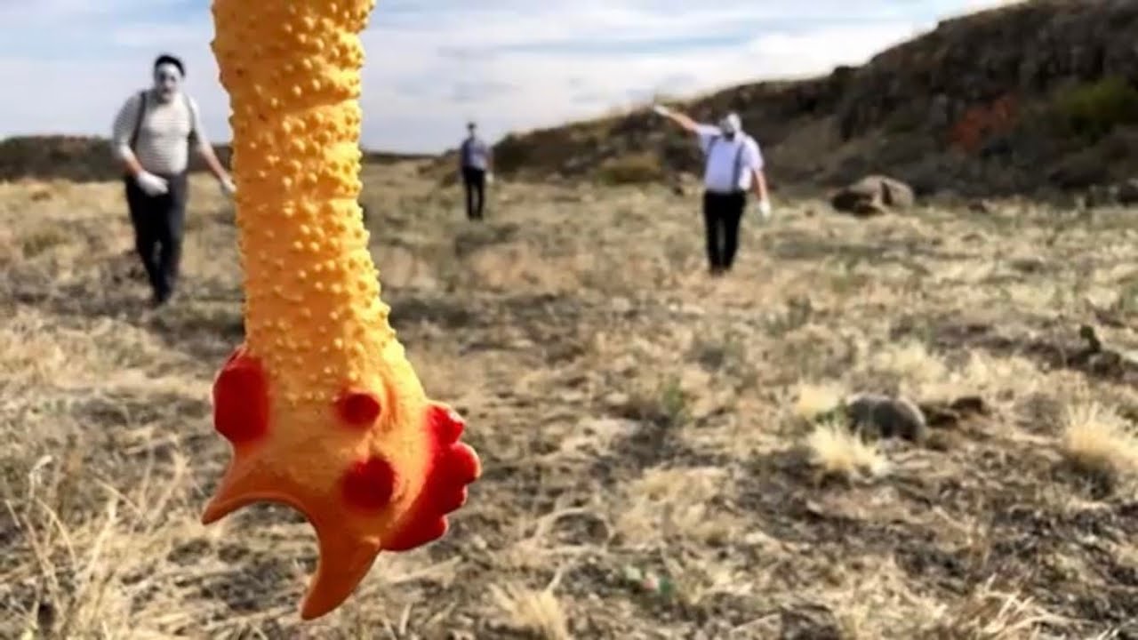 The Last Spark of Madness - YouTube