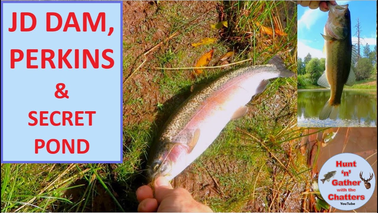 JD DAM FISHING with PERKINS TANK & Bonus Secret Bass Pond - Rainbow ...