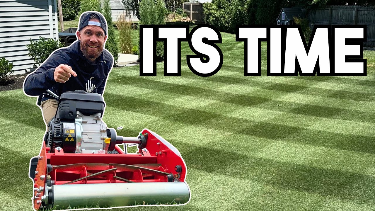WHEN Should YOU Mow In SPRING- Easy Quick Guide - YouTube