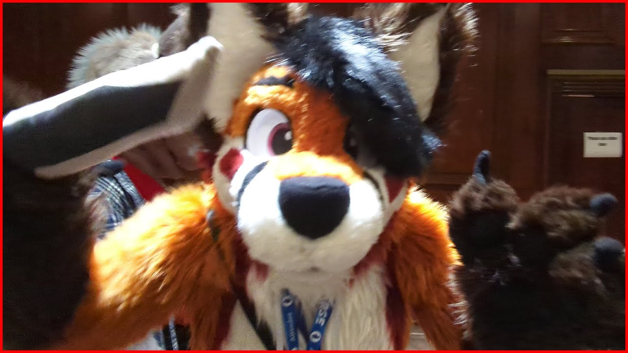 ConFuzzled 2023 in 20 Seconds! - YouTube