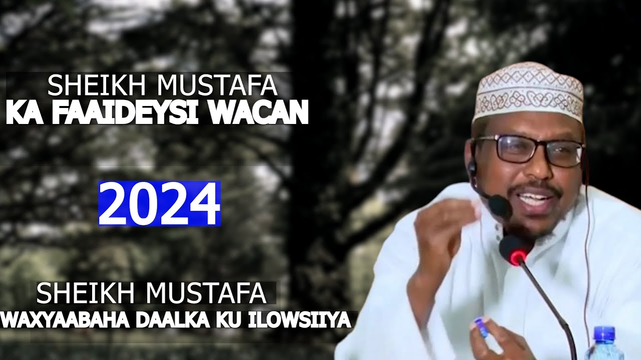 SHEIKH MUSTAFA - YouTube