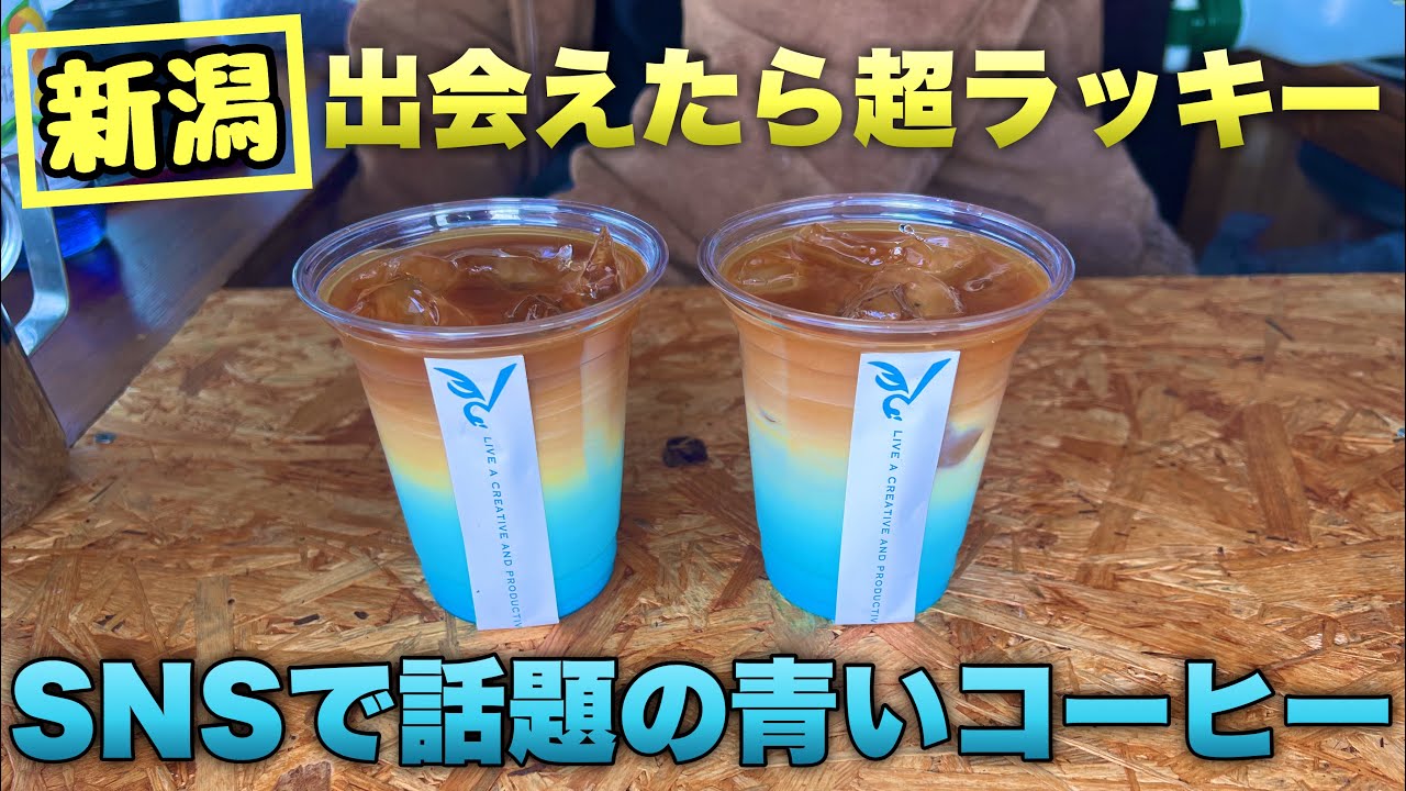 新潟で出会えたら超ラッキーSNSで話題の青いコーヒー VOST COFFEE - YouTube