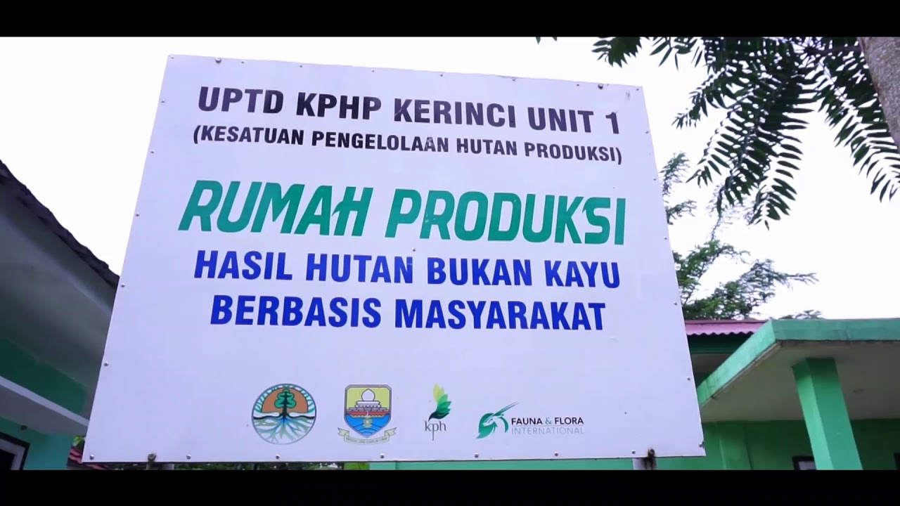 Madu Salang KPHP - YouTube