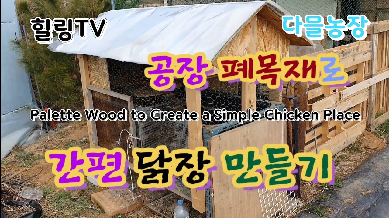 폐목재로 간편 닭장 만들기Palette Wood to Create a Simple Chicken Place - YouTube
