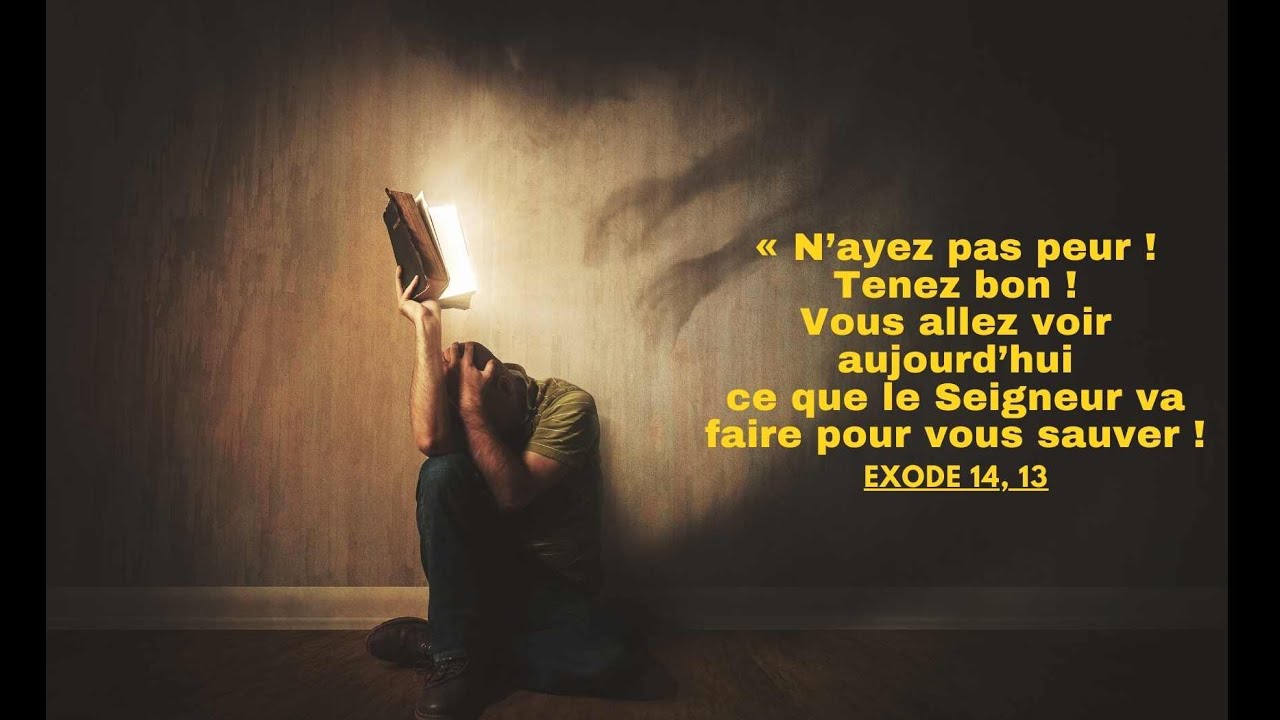 7 MINUTES POUR JESUS, N’AYEZ PAS PEUR ! TENEZ BON ! 24 JUILLET 2023 ...