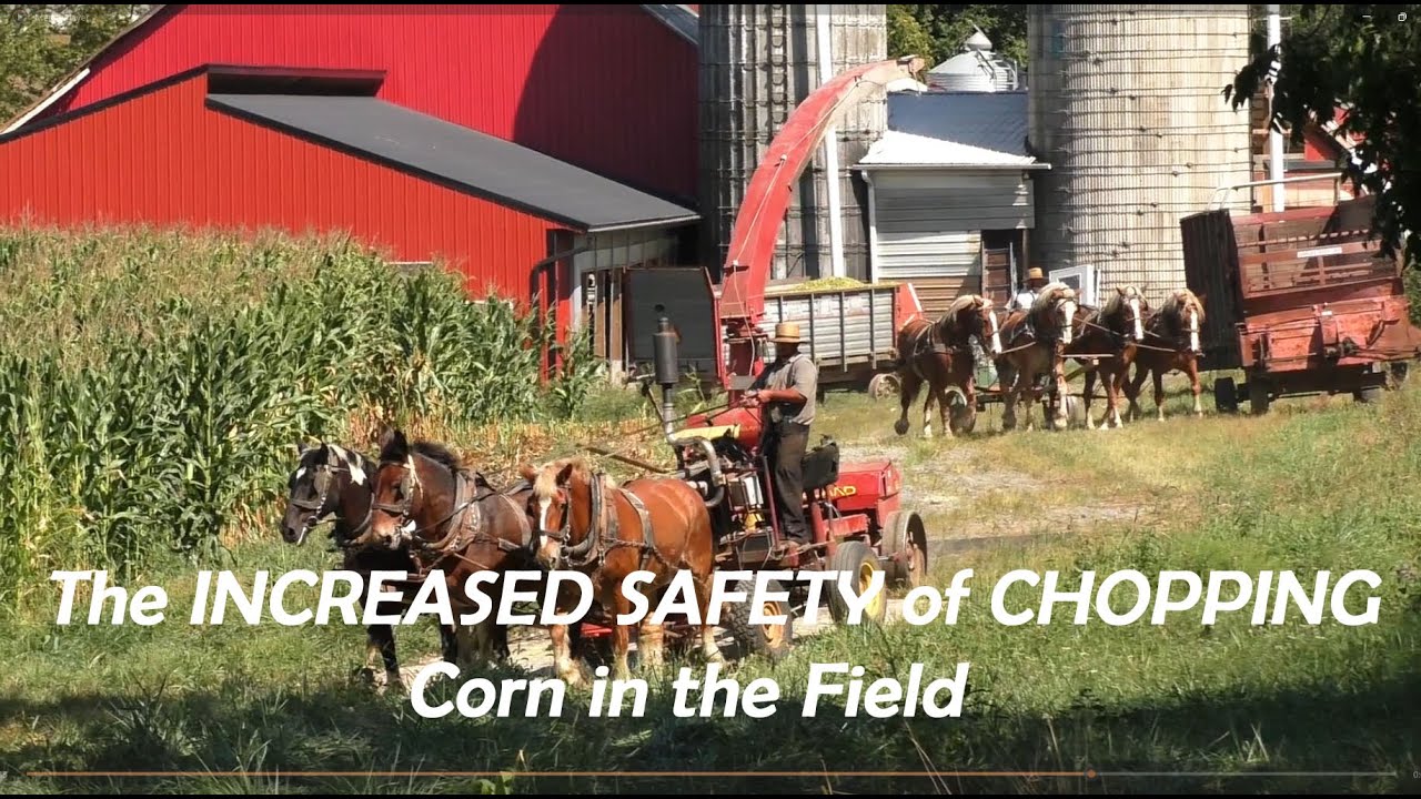 HORSEPOWER and OLD ORDER AMISH Filling Silo Using New Holland 718 ...
