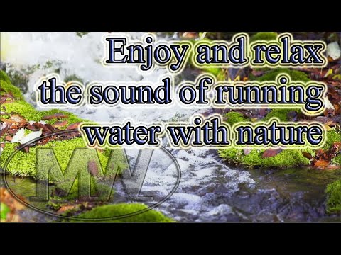 Enjoy and relax the sound of running water with nature - YouTube