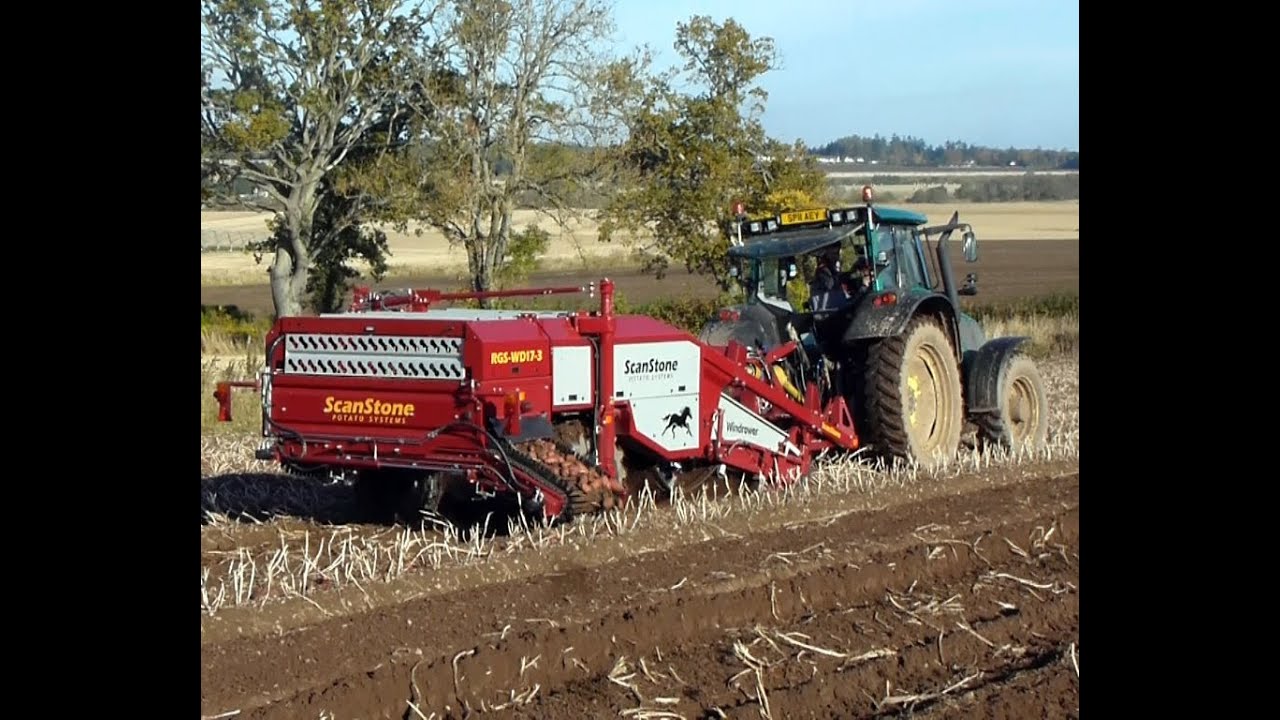 ScanStone Vegetable Windrower - YouTube