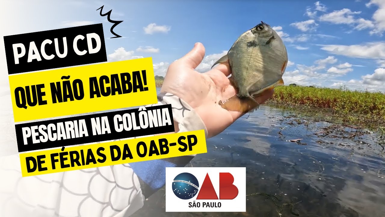 Pacu CD que não acaba! Pescaria na Colônia de Férias da OAB/SP - YouTube