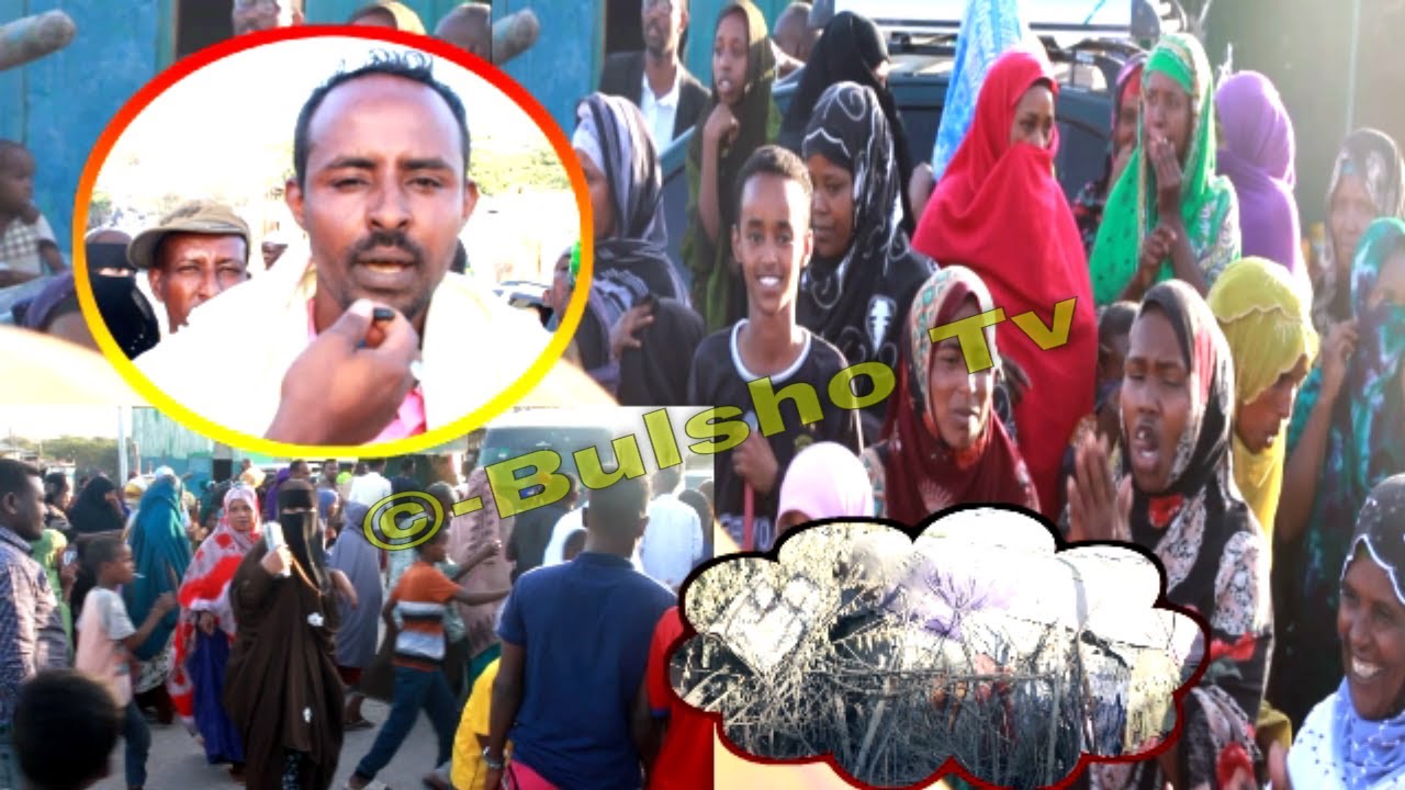Bulshada Xaafada State House Ka Ee Hargeisa Oo Hogaan Cusub Doortay ...