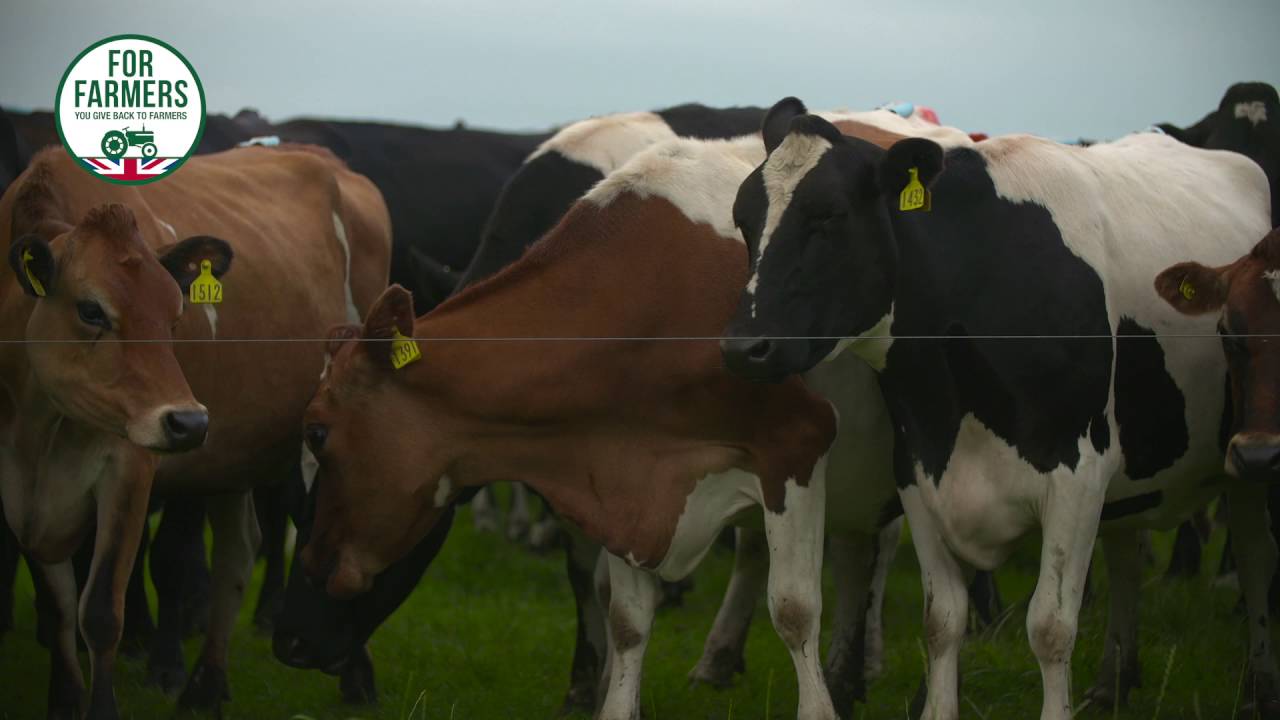 Meet Rory Christie - Dairy Farmer from Scotland - YouTube