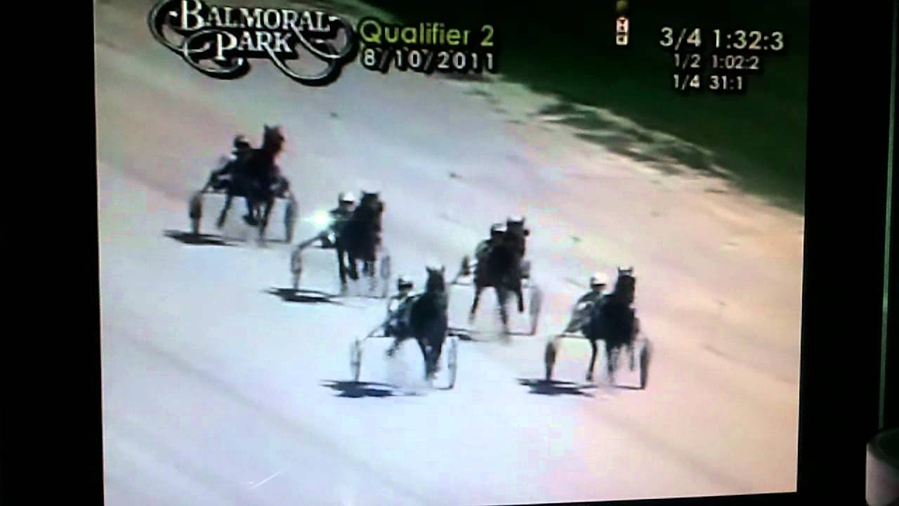 Balmoral Park Qualifier Accident 8-10-2011 - YouTube