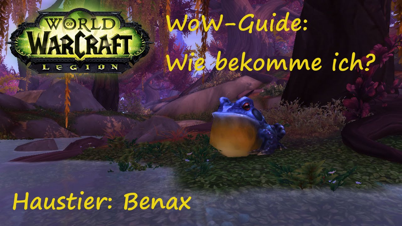 WoW-Guide: Wie bekomme ich das Haustier Benax? - YouTube
