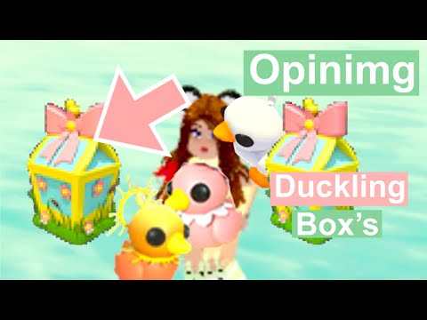 Opening duckling boxes | I didn’t expect this! | (Roblox Adopt Me ...