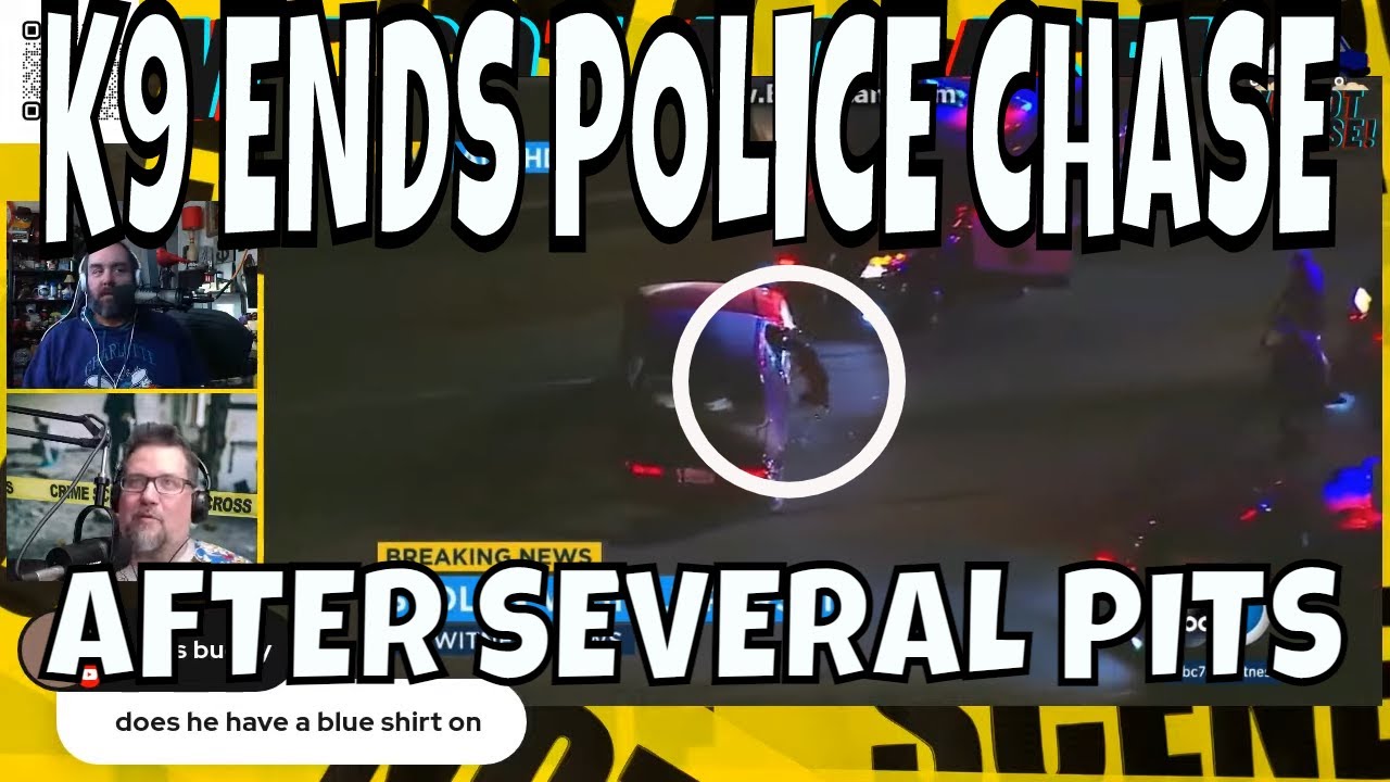 LOS ANGELES POLICE CHASE OF A STOLEN CAR | WE GOT A CHASE - YouTube