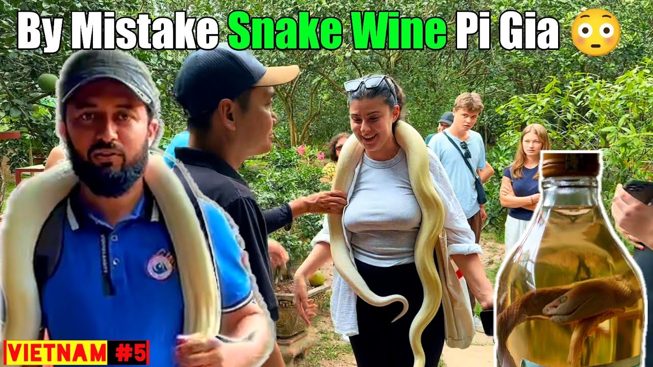 I Accidentally Drank Snake Wine 🍷😳🤒 Traditional Rice Wine Delta River ...