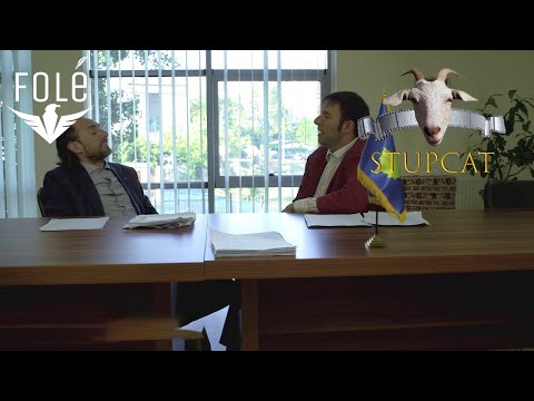 STUPCAT - Daja Shaban