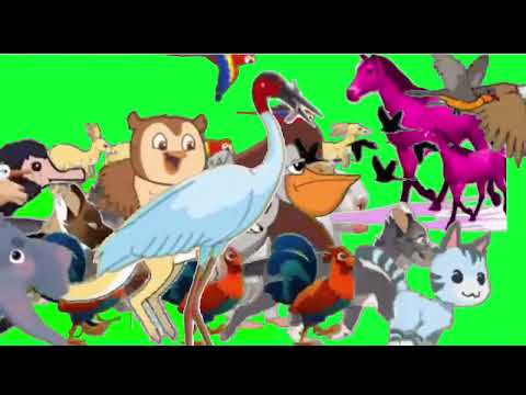 animal stampede crossove | cartoon 3danimals stampede all animals ...