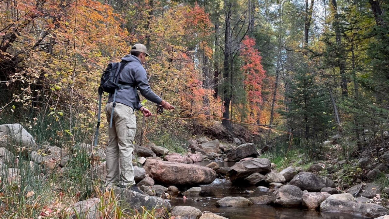 Trout Fishing Payson Arizona/Pescando Trucha En Payson Arizona - YouTube