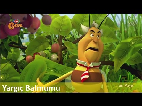 Arı Maya ► Yargıç Balmumu