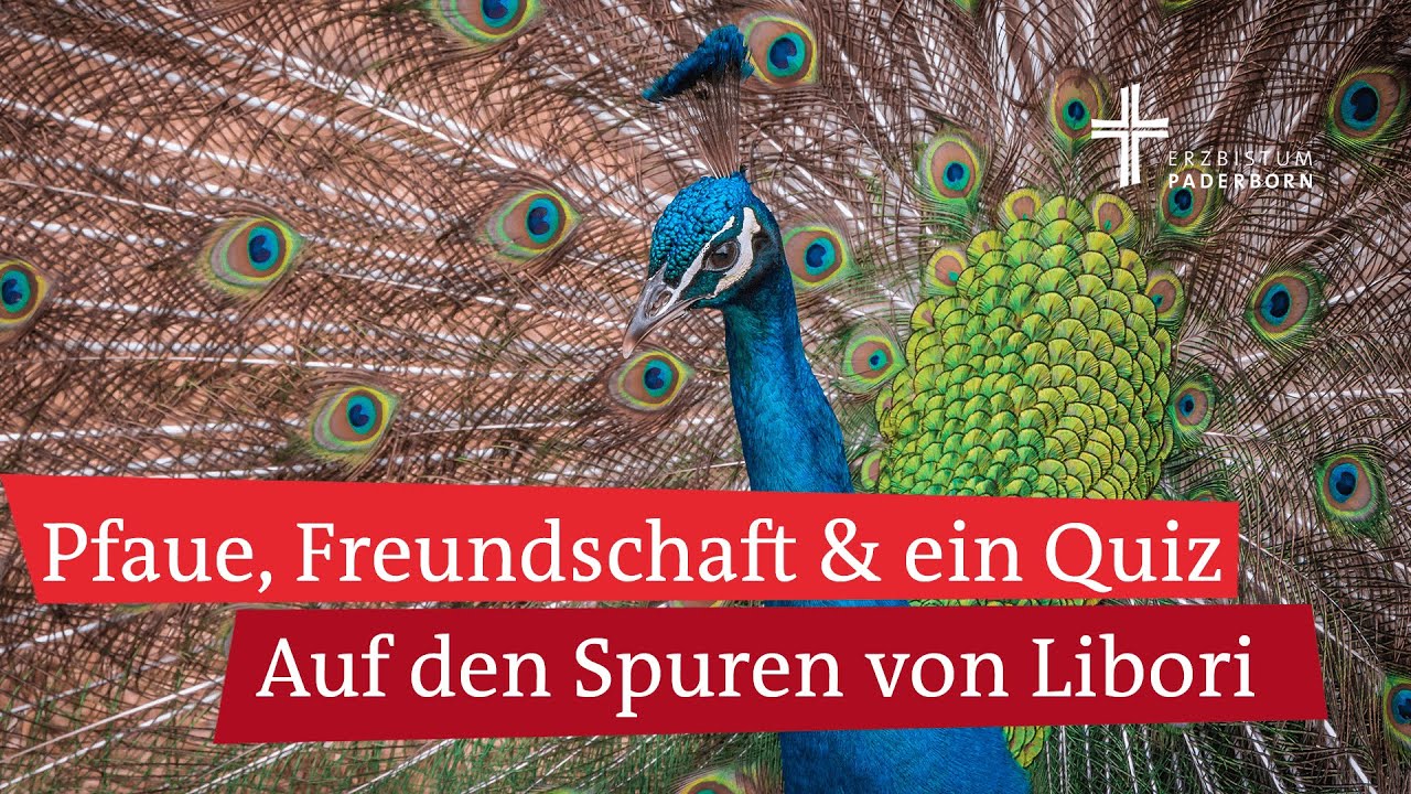 Paderborn feiert Libori: Geschichten vom Liborifest und der Freundschaft hier bei LiboriTV - YouTube
