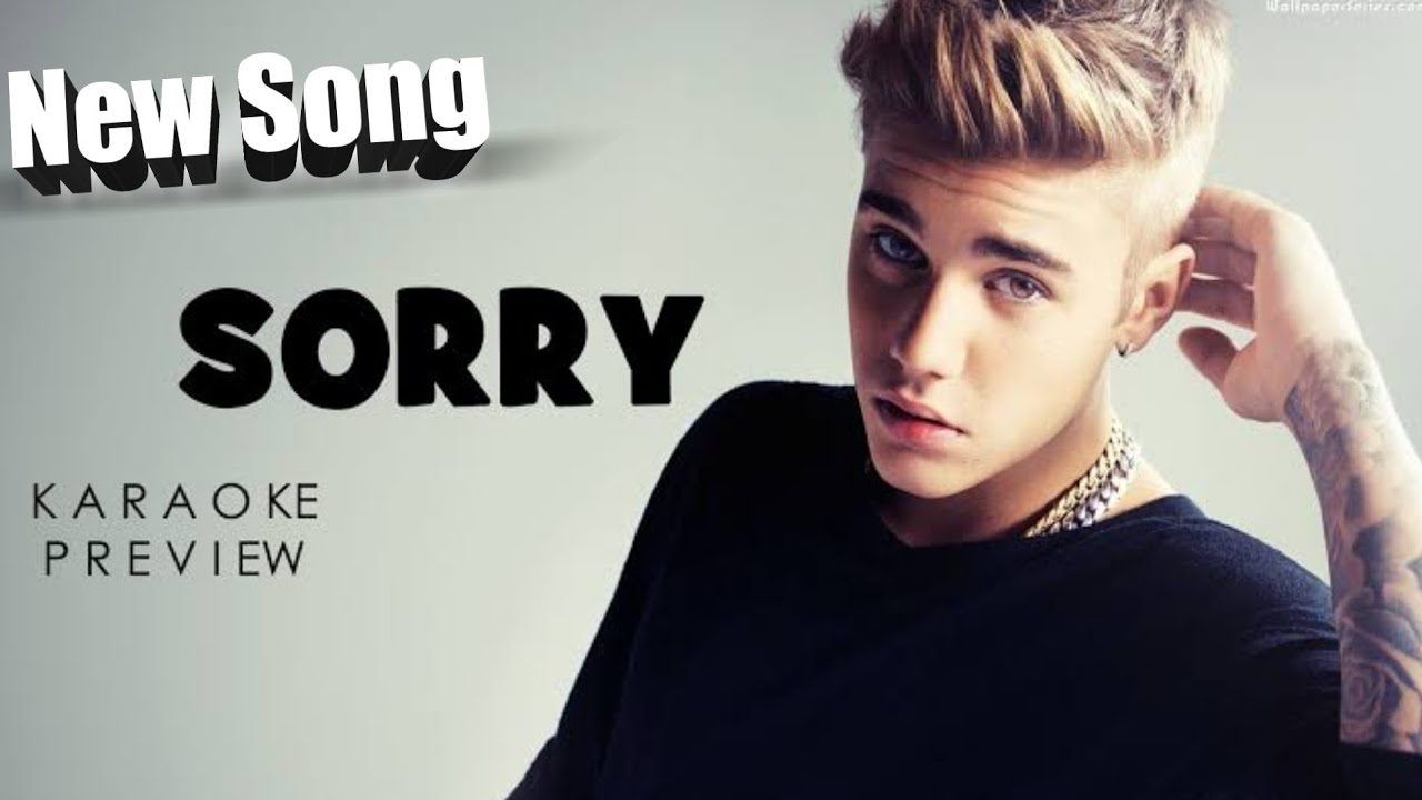 Justin Buber Sorry Song - YouTube