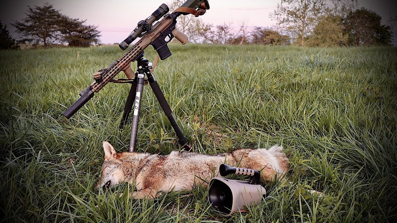 SPRING PREDATOR CONTROL - YouTube