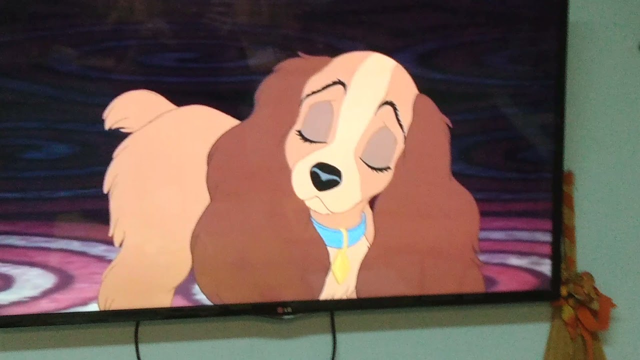 Lady And The Tramp 2: Scamp's Adventure |Lady and Tramp Talk| {Fandub ...