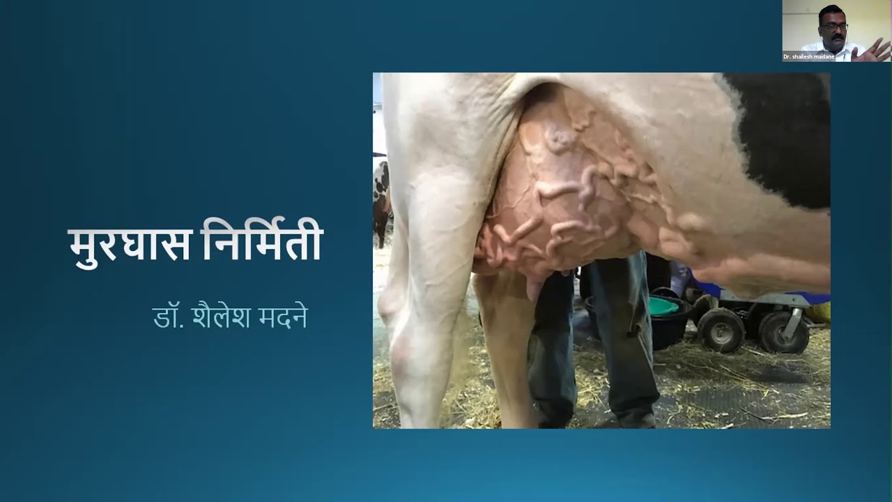 Day 5. Lectures of Dr. Anil Bhikane, Dr. C.D.Khedkar, Dr. Nitin ...
