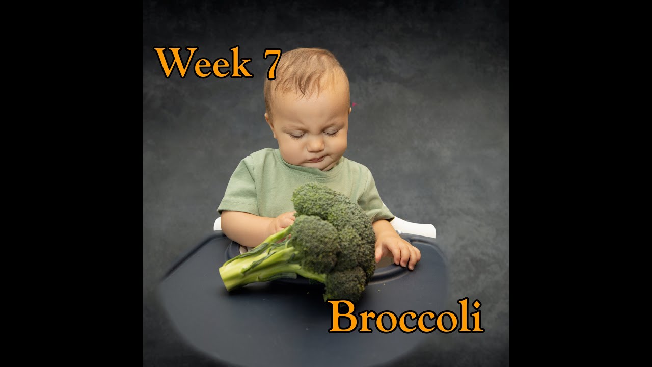 Baby Led Weaning: Week 7, Broccoli - YouTube