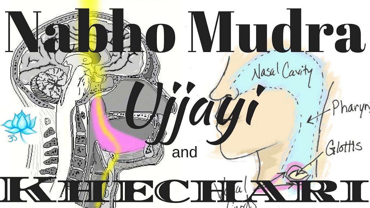 Quick Yoga Guide to Khechari Mudra, Nabho Mudra and Ujjayi breathing ...