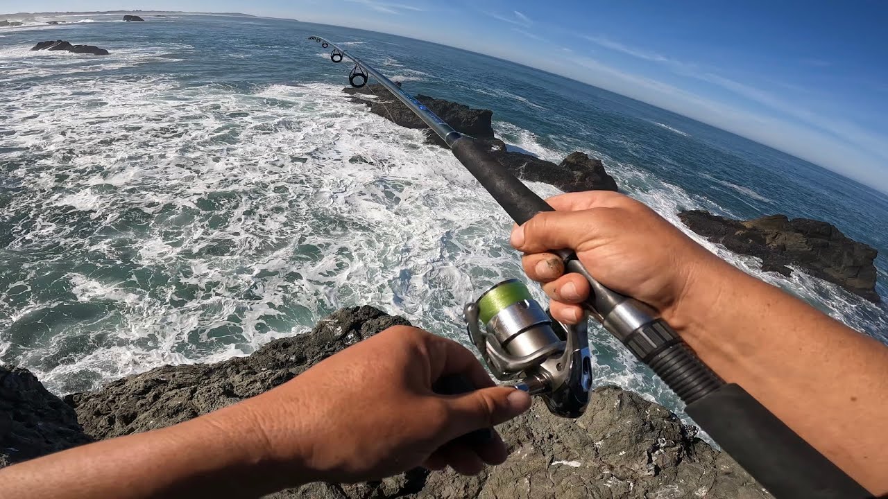 Surf perch fishing in California - YouTube