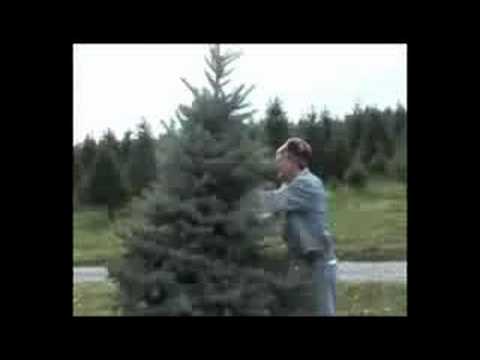 Shake and Bail - Snickers Gap Christmas Tree Farm - YouTube