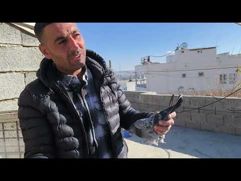 Kerim Dayı herkes bilir Duacı olmanız yeterli Efsane Oyun kuşları C.tesi Akşam saat 9 da
