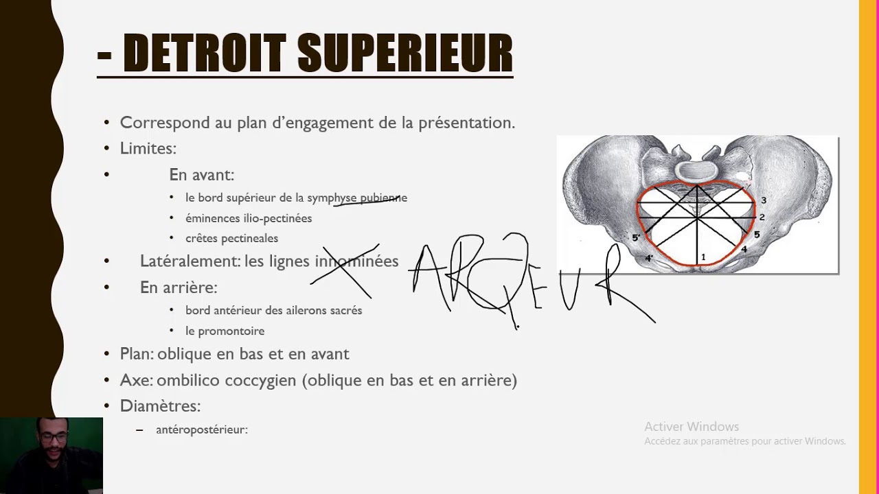 gynécologie examen du bassin obstétrical - YouTube