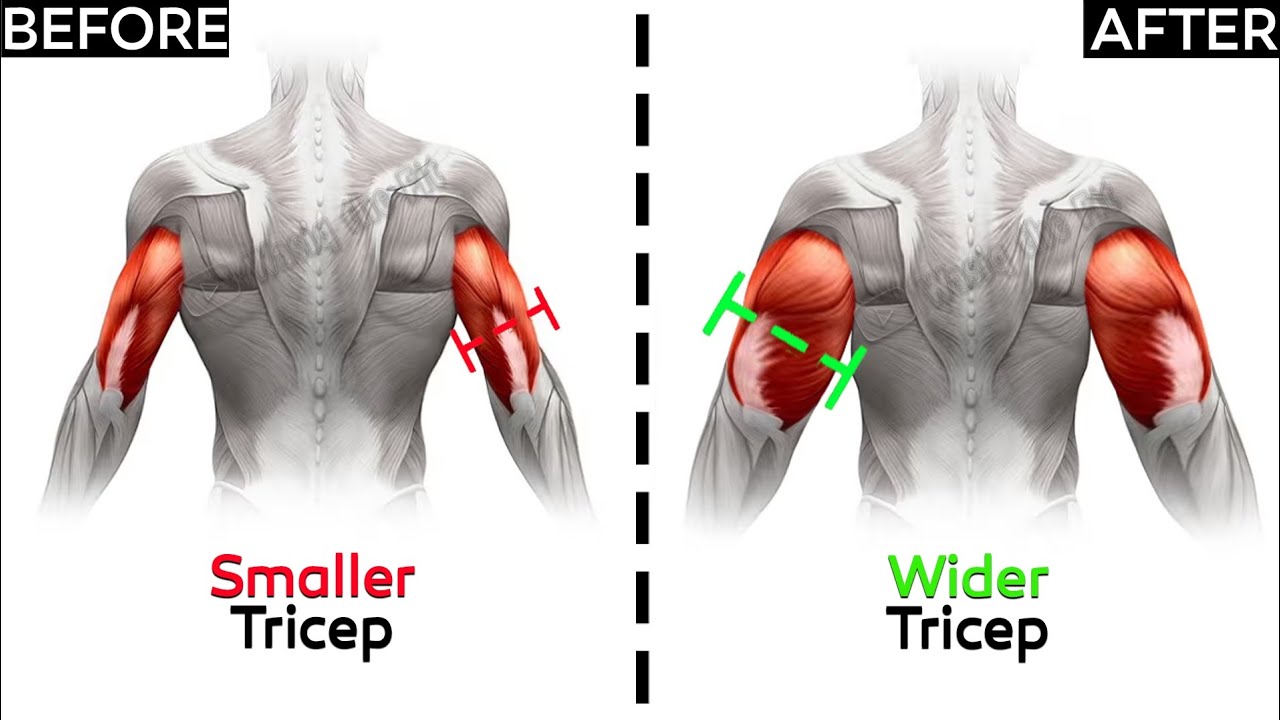 Best 6 Triceps Exercises For Strength That You Must Be Doing ! - YouTube