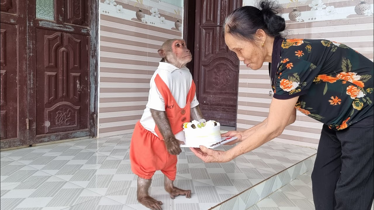 Abu goes on secret journey to celebrate his grandmother's birthday ...