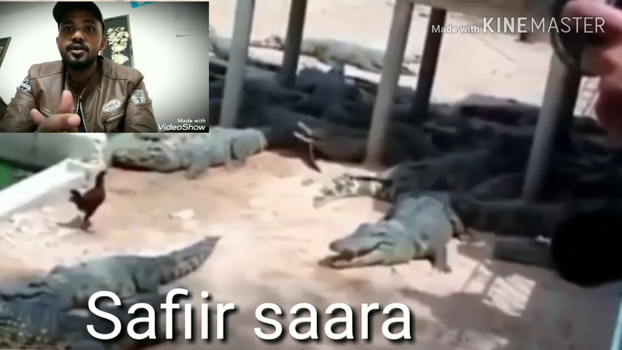 Yaxaas iyo dijaaj maxaa Kala qabsaday - YouTube