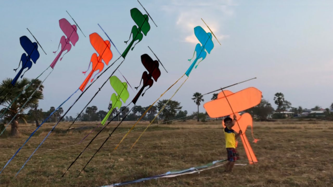 មកបង្ហោះខ្លែងឯកឈ្មោលសាកបងប្អូន|Male kite flying in a field near the ...
