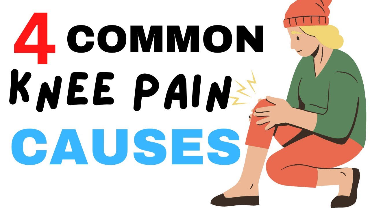 4 COMMON CAUSES OF KNEE PAIN! Anatomy of Knee, causes and treatment ...
