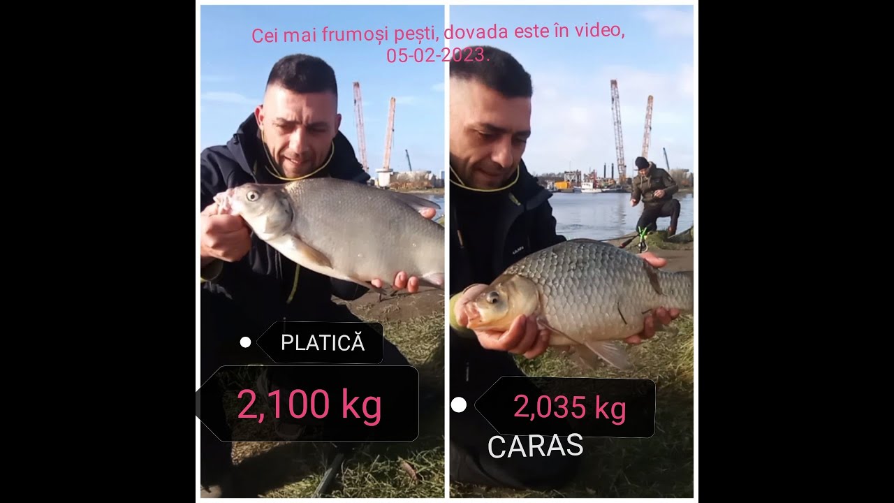 RECORD LA #PLĂTICĂ ȘI CARAS MARE, în luna #FEBRUARIE am prins o groaza ...