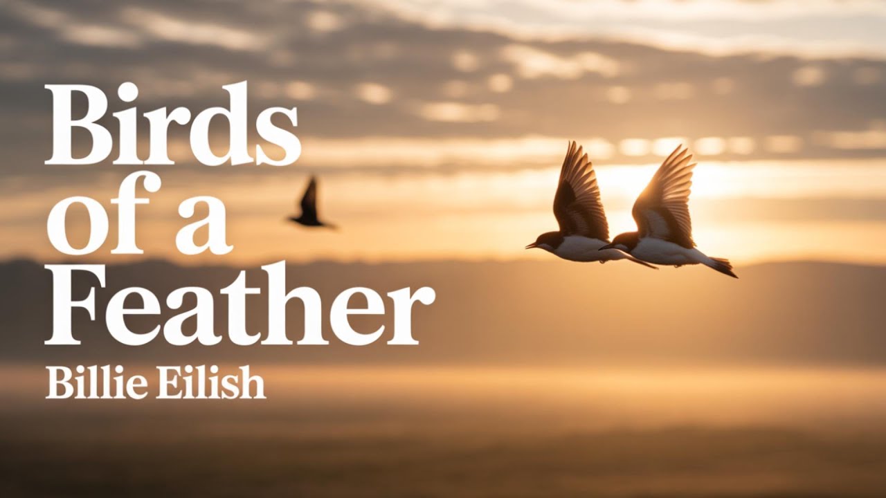 Birds of a Feather – Billie Eilish | Lyrics & Pronunciation - YouTube