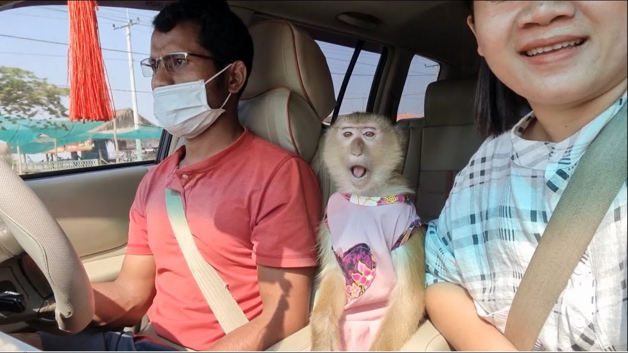 YaYa On The Way Checking Health Again - YouTube