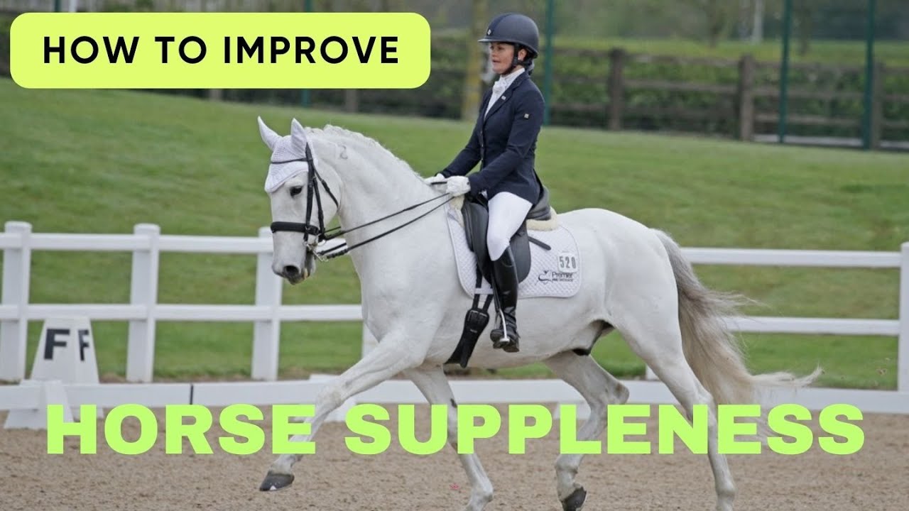 Horse suppleness: how to improve your horses suppleness - YouTube