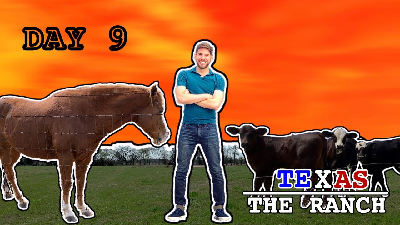 The Ranch | Texas | Season 2 Episode 10 - YouTube