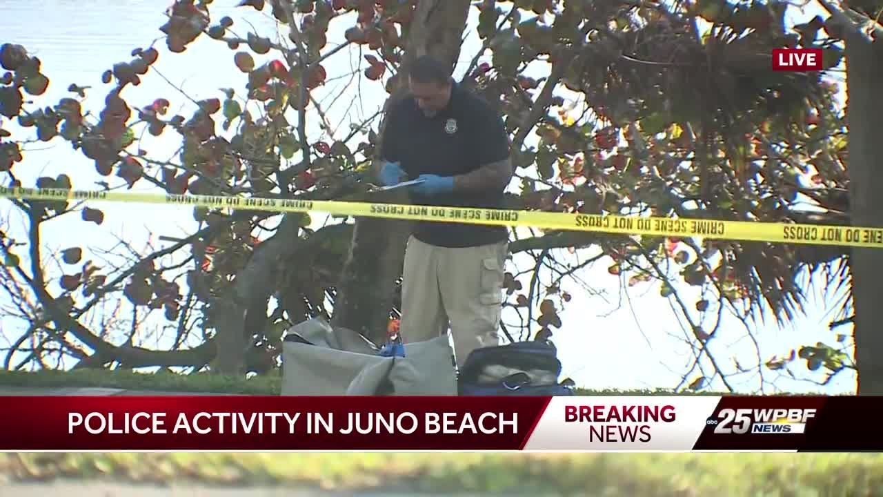 Heavy police presence in Juno Beach near Pelican Lake - YouTube