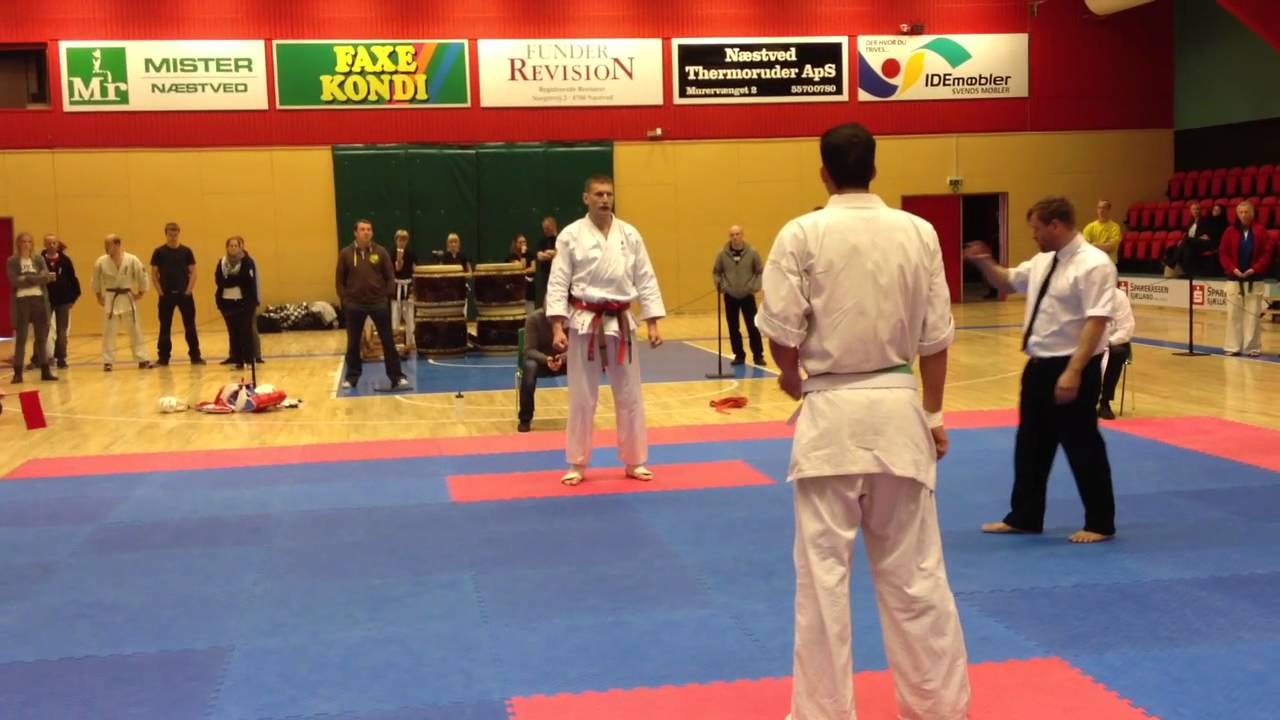 Fady Finale vs Michael Hallgren Shin go ryu cup 2012.mov - YouTube