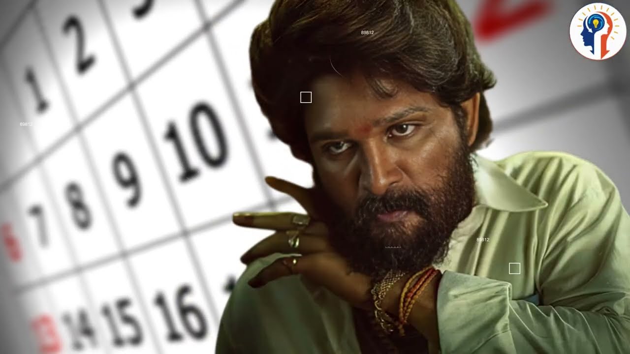 Pushpa 2 Box Office Collection, Allu Arjun, Pushpa 2 The Rule 3rd Day ...