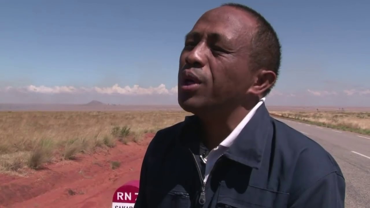 The true explanation for the locust in Mecca, and in different ...