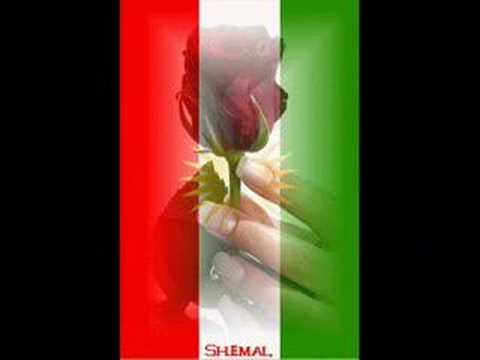 SEN GELMEZ OLDUN